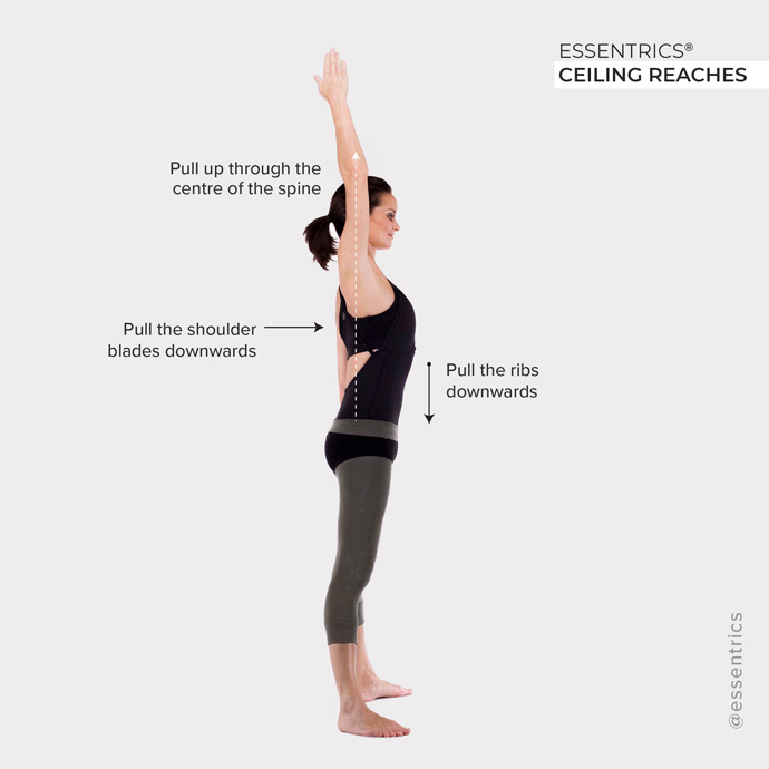 3 Exercises to Instantly Improve your Posture | Essentrics